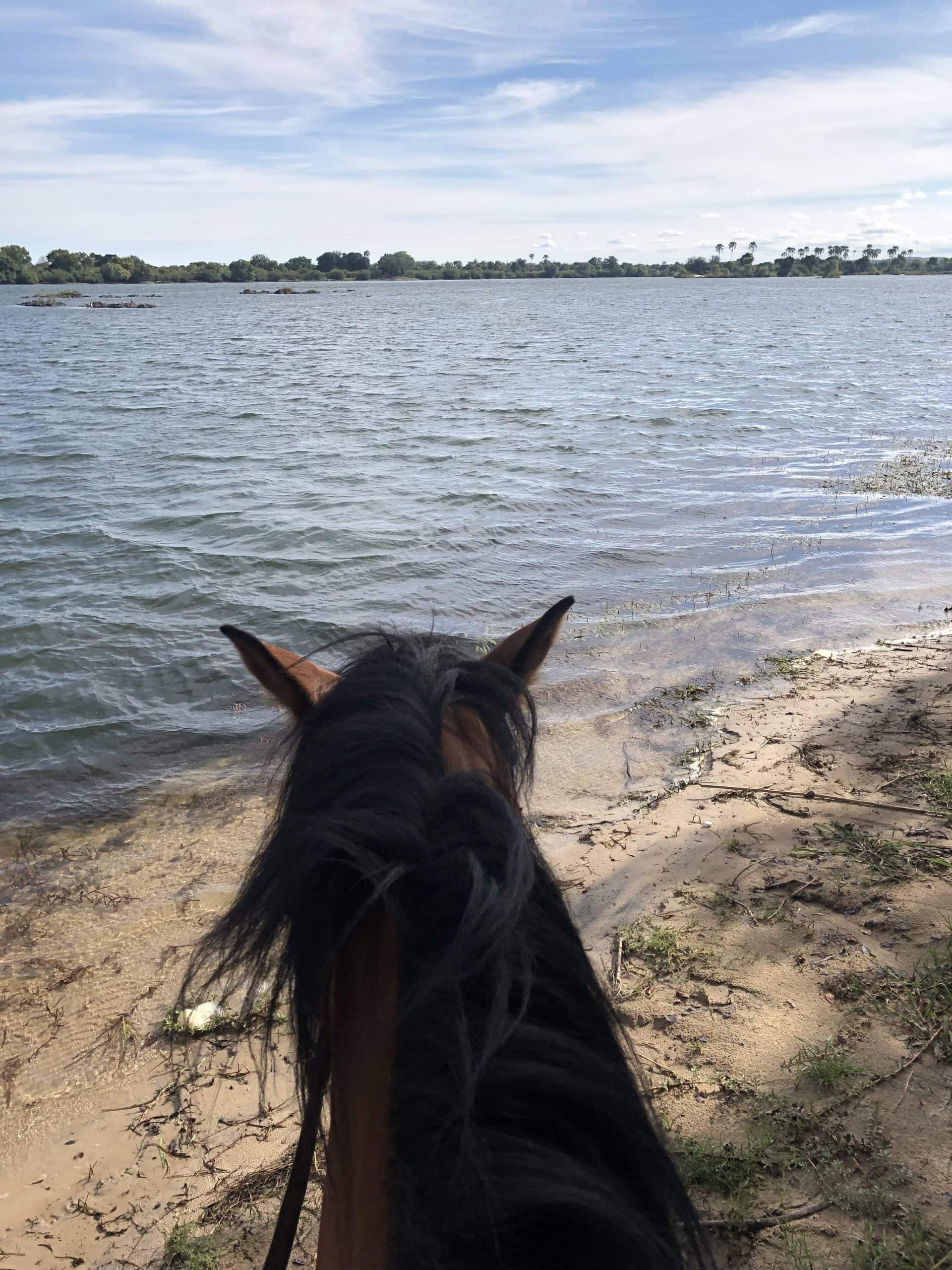 Victoria Falls Horseback Safari on the Zambezi River