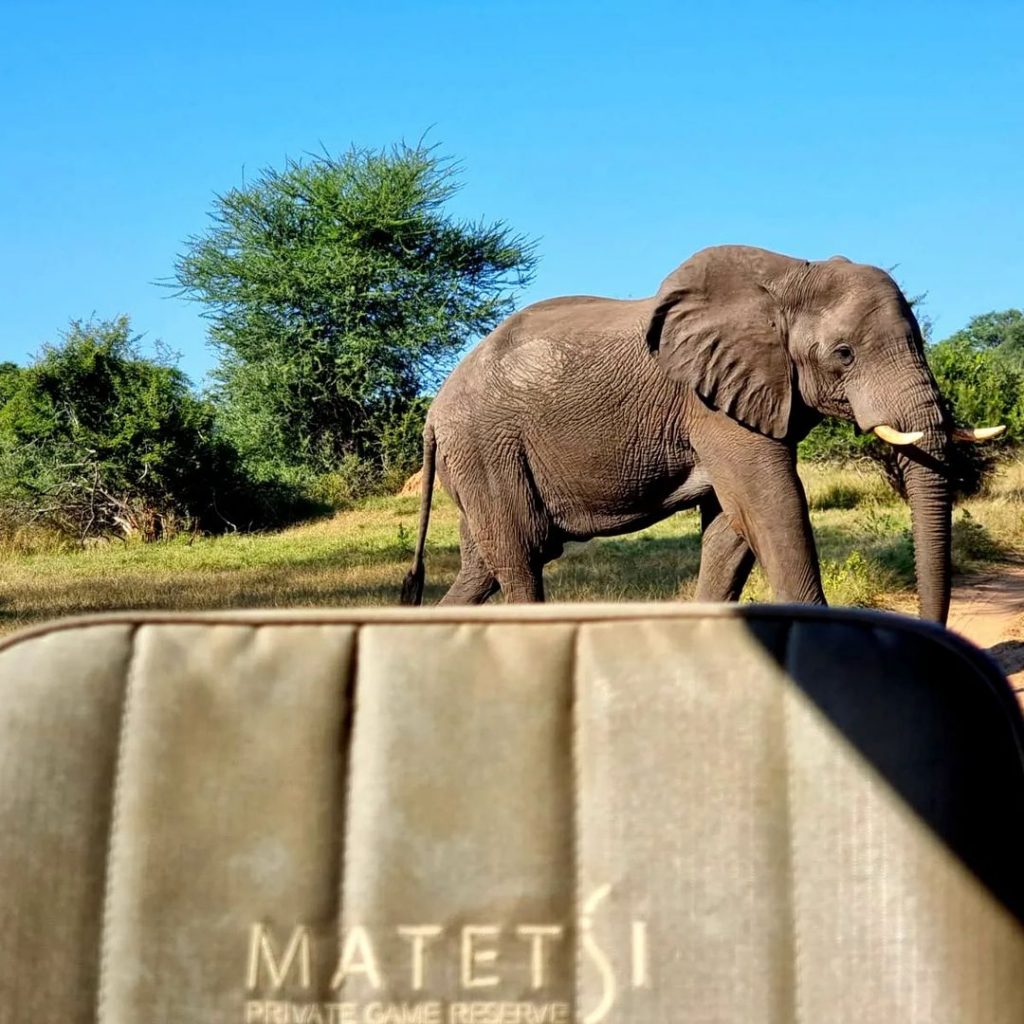 Wildlife Report: Winter 2022 (May – July)