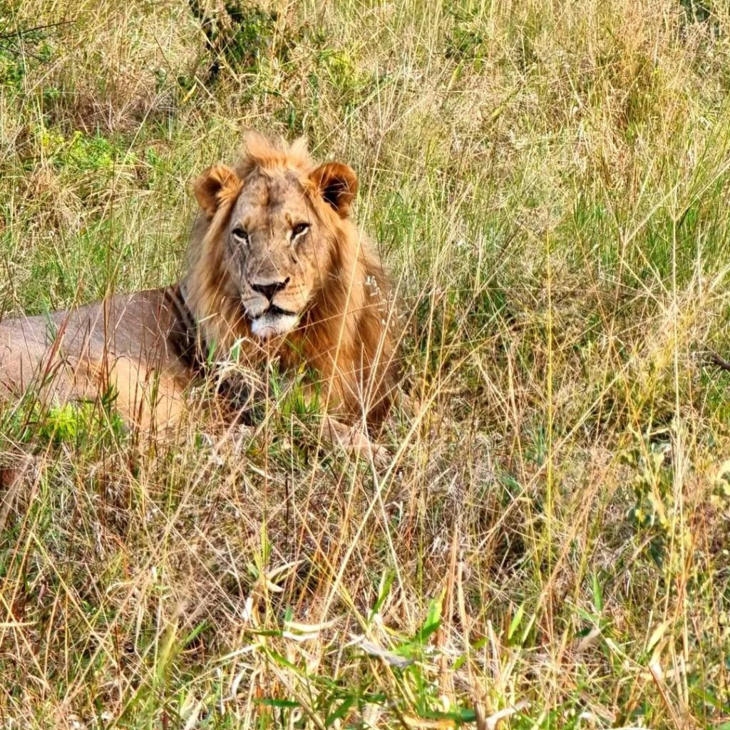 Wildlife Report: Winter 2022 (May – July)