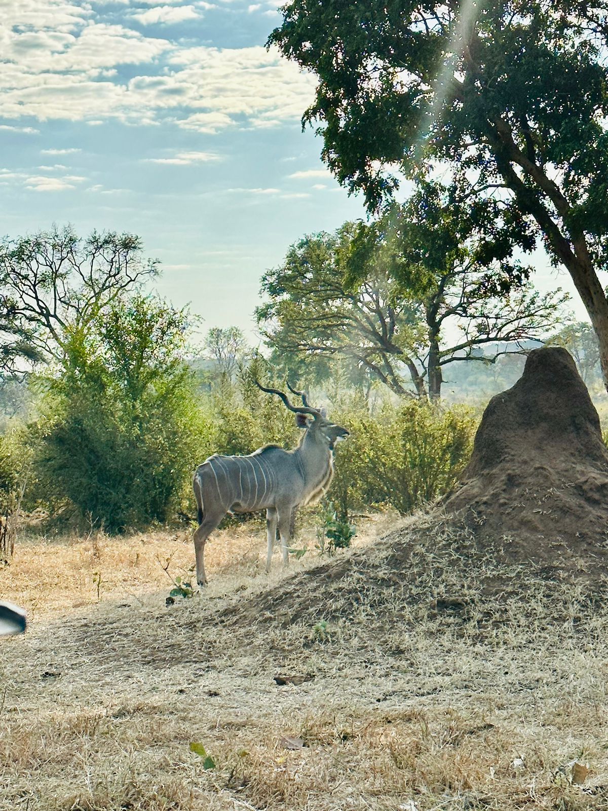 Wildlife Report: Winter 2023 (May – July)